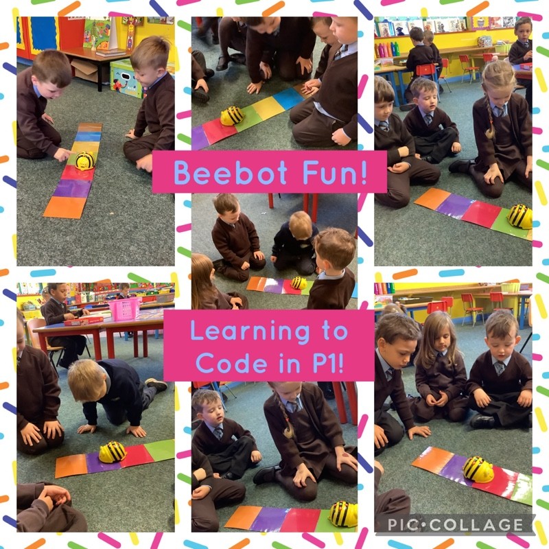 Play in Primary 1!