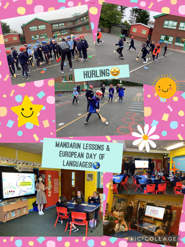 Welcome to P4!
