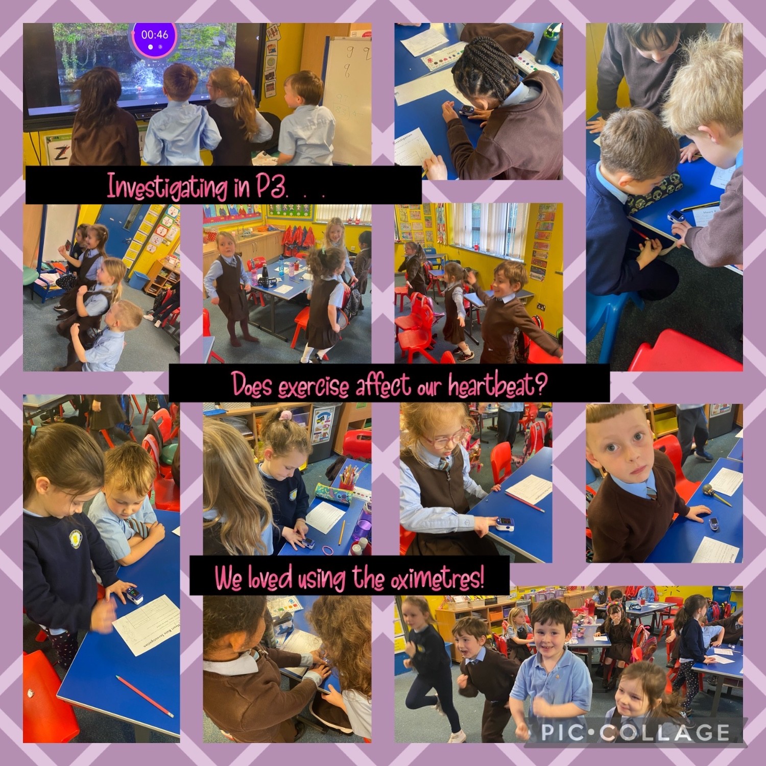 Term 1 in Primary 3!