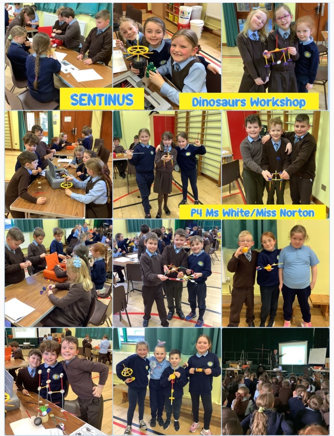 Sentinus Dinosaur Workshop