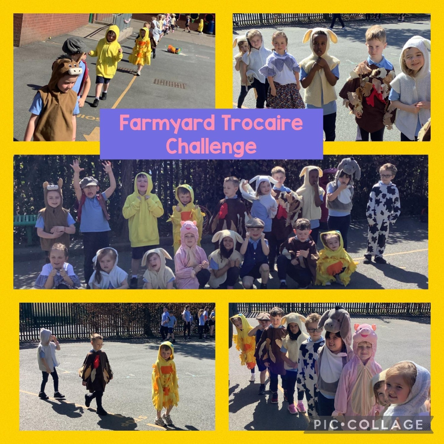 Primary 1 Trocaire Challenge